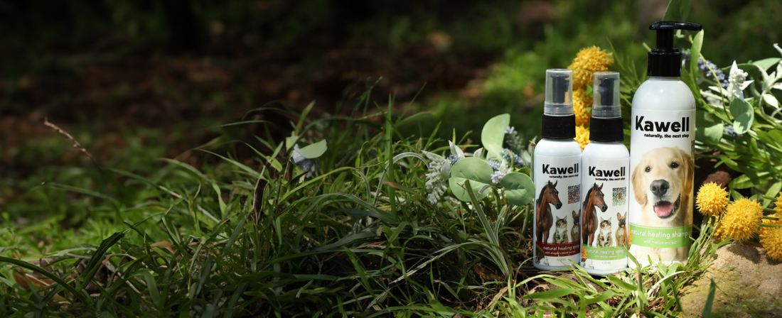 Kawell USA - Naturally the Next Step