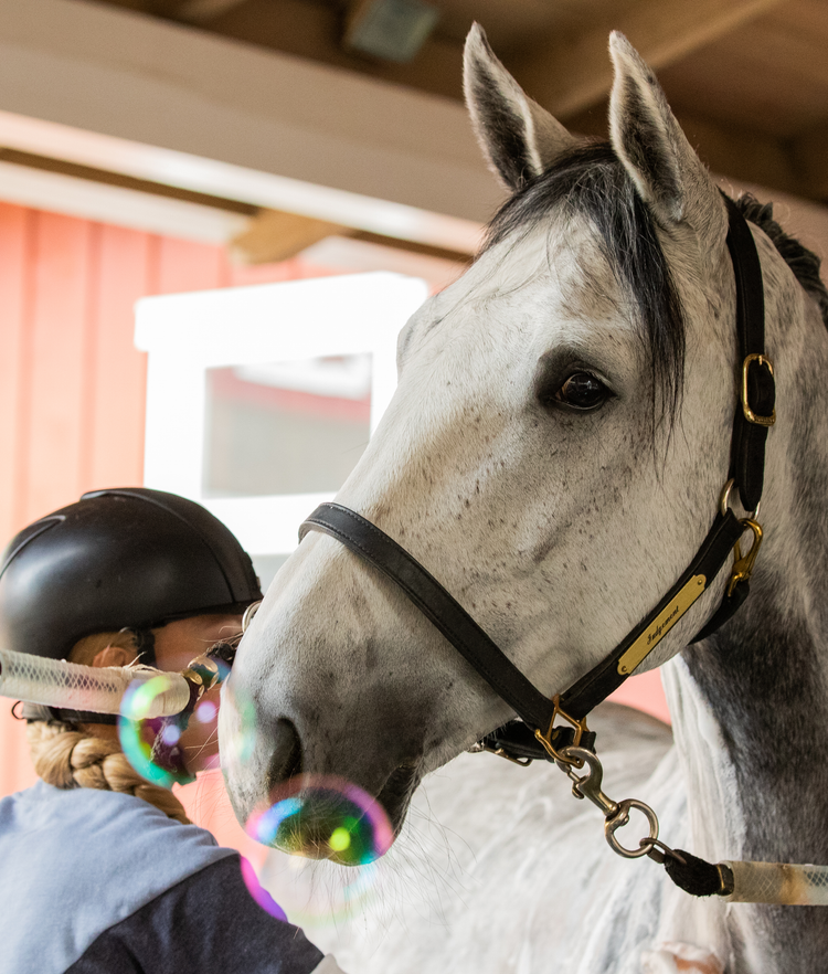 Kawell USA - Naturally the Next Step